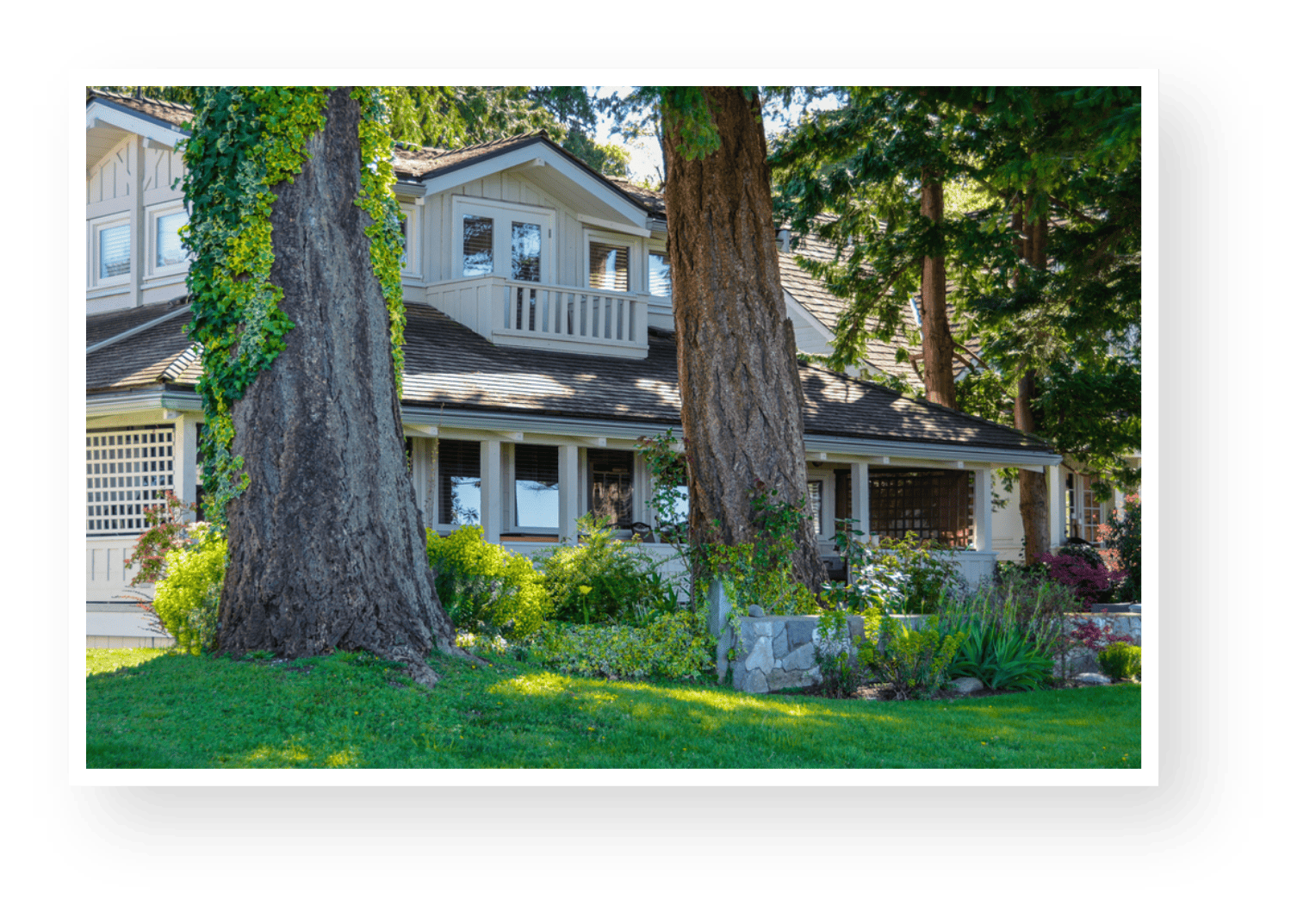 Dallas Tree Service | Tree Solutions of Texas | Tree Solutions of Texas ...